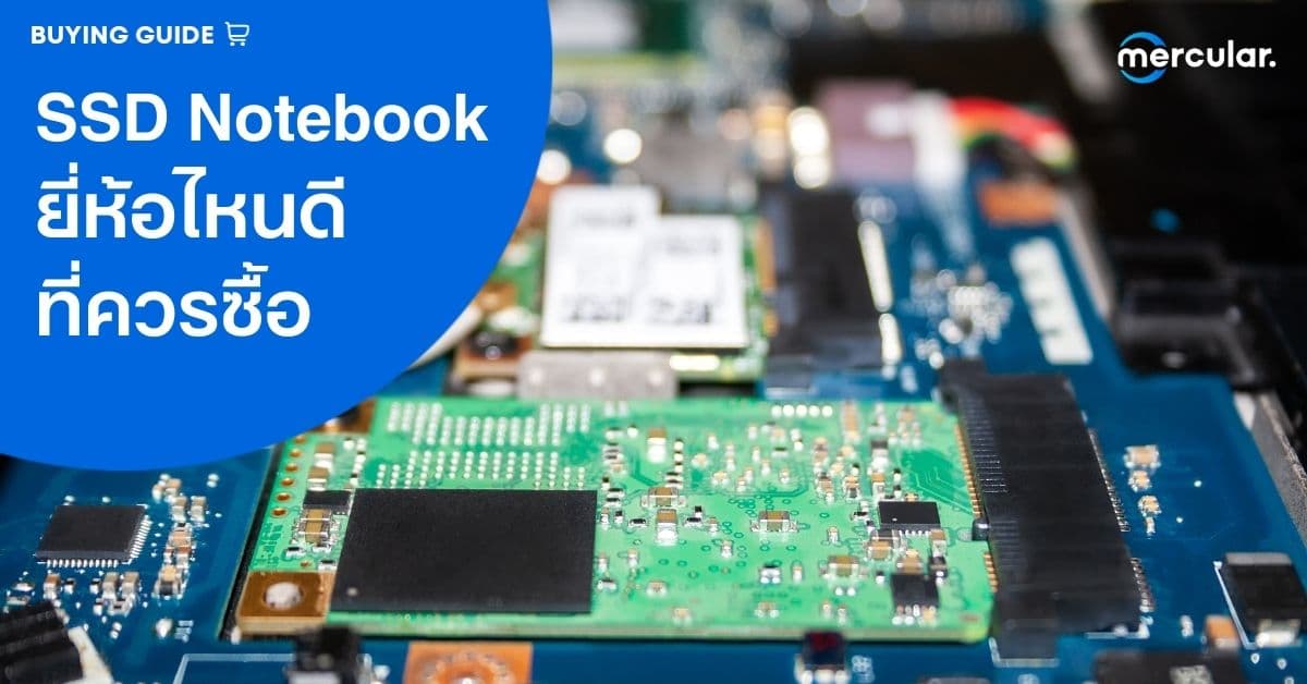 SSD Notebook ยี่ห้อไหนดีที่ควรซื้อ อัปเกรดคอมให้เร็วแรง