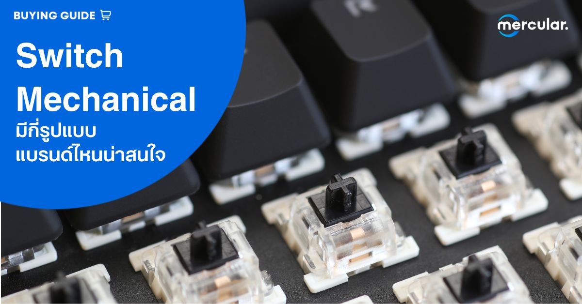 Switch Mechanical มีกี่รูปแบบ แบรนด์ไหนน่าสนใจ กดมันกดเพลิน