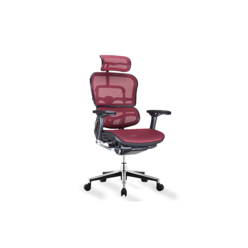 เก้าอี้เพื่อสุขภาพ Ergotrend Ergohuman Gen2 Ergonomic Chair