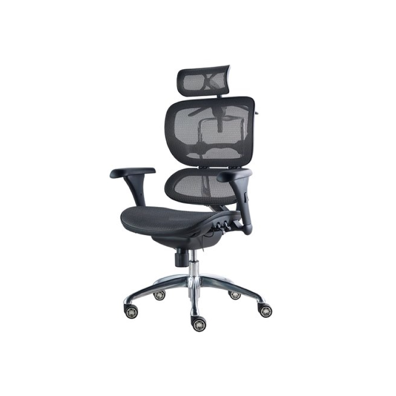 เก้าอี้เพื่อสุขภาพ Ergotrend Beyond Signature-01 Ergonomic Chair