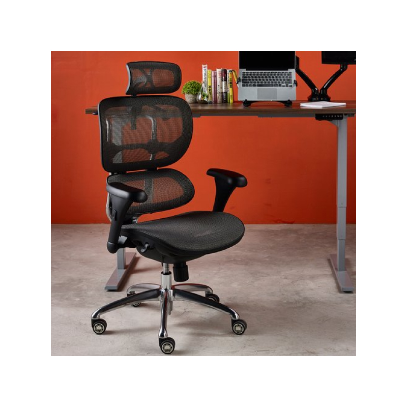เก้าอี้เพื่อสุขภาพ Ergotrend Beyond Signature-01 Ergonomic Chair
