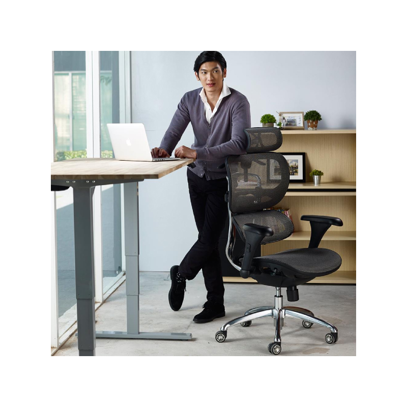 เก้าอี้เพื่อสุขภาพ Ergotrend Beyond Signature-01 Ergonomic Chair