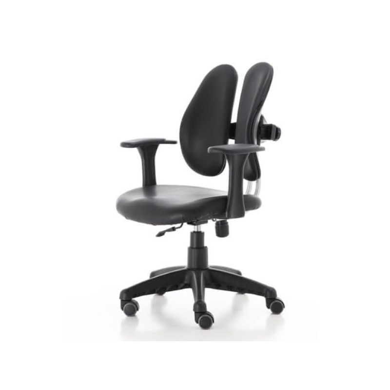เก้าอี้เพื่อสุขภาพ Ergotrend Dual-04 Ergonomic Chair