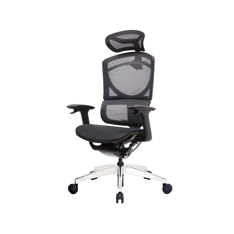 เก้าอี้สุขภาพ Ergotrend Gotland Ergonomic Chair