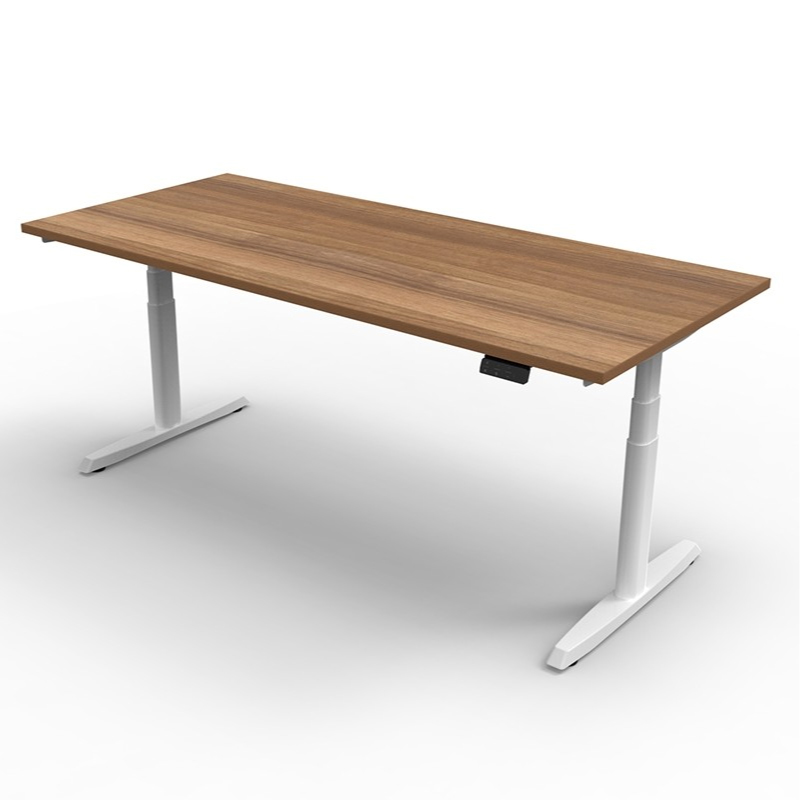 [ผลิต5-7วัน]โต๊ะปรับระดับ Ergotrend Sit 2 Stand GEN5 (Premium dual ...