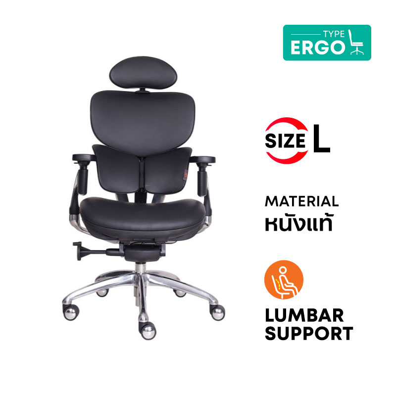 Ergotrend เก้าอี้เพื่อสุขภาพ หมดปัญหาออฟฟิศซินโดรม