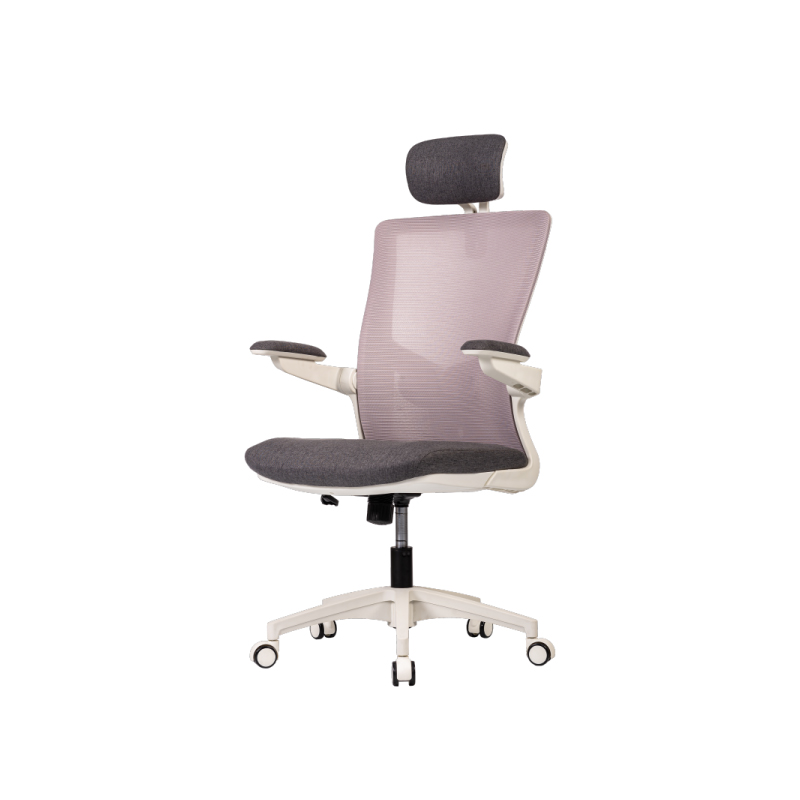 เก้าอี้สุขภาพ WORKSCAPE Luna WCH-00005 Ergonomic Chair