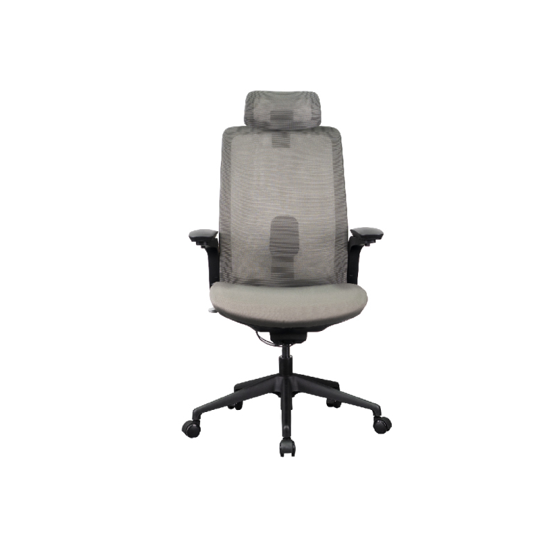 เก้าอี้สุขภาพ WORKSCAPE Mensa WCH-00004 Ergonomic Chair