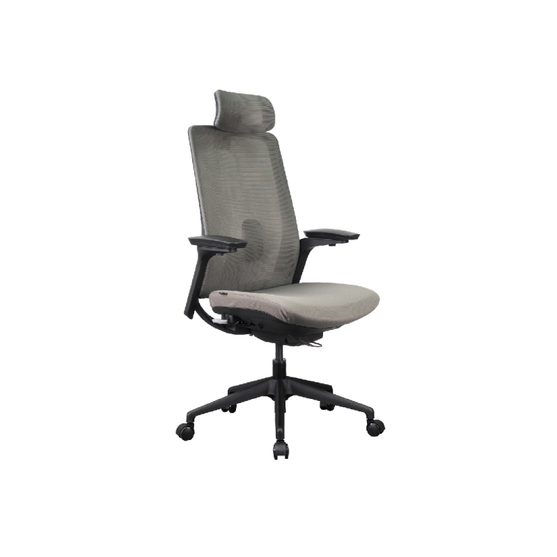 เก้าอี้สุขภาพ WORKSCAPE Mensa WCH-00004 Ergonomic Chair