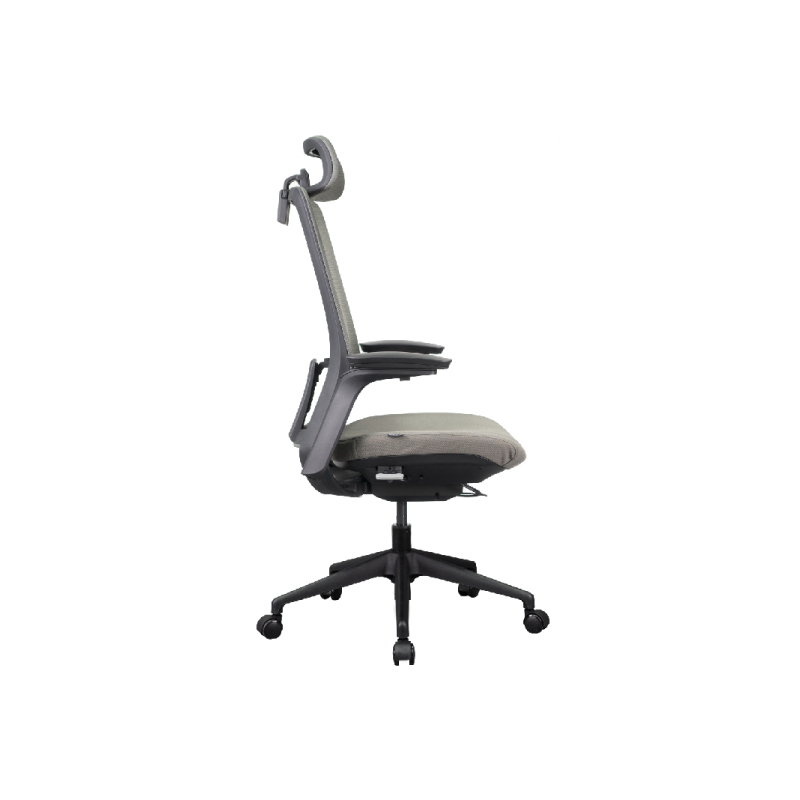 เก้าอี้สุขภาพ WORKSCAPE Mensa WCH-00004 Ergonomic Chair
