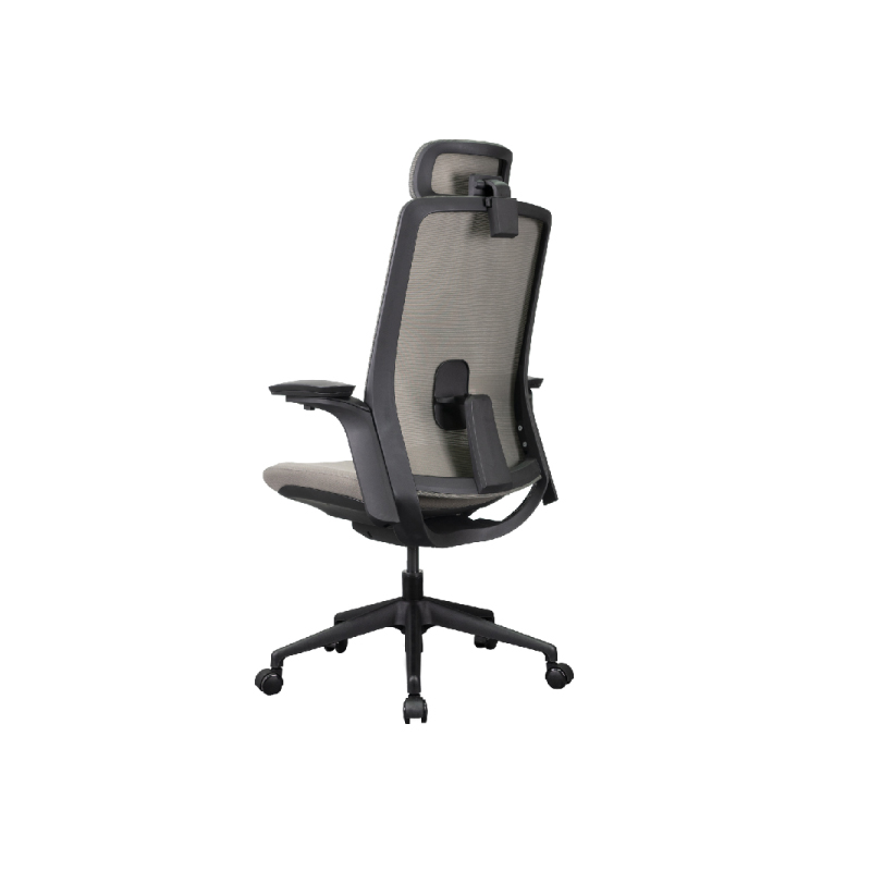 เก้าอี้สุขภาพ WORKSCAPE Mensa WCH-00004 Ergonomic Chair