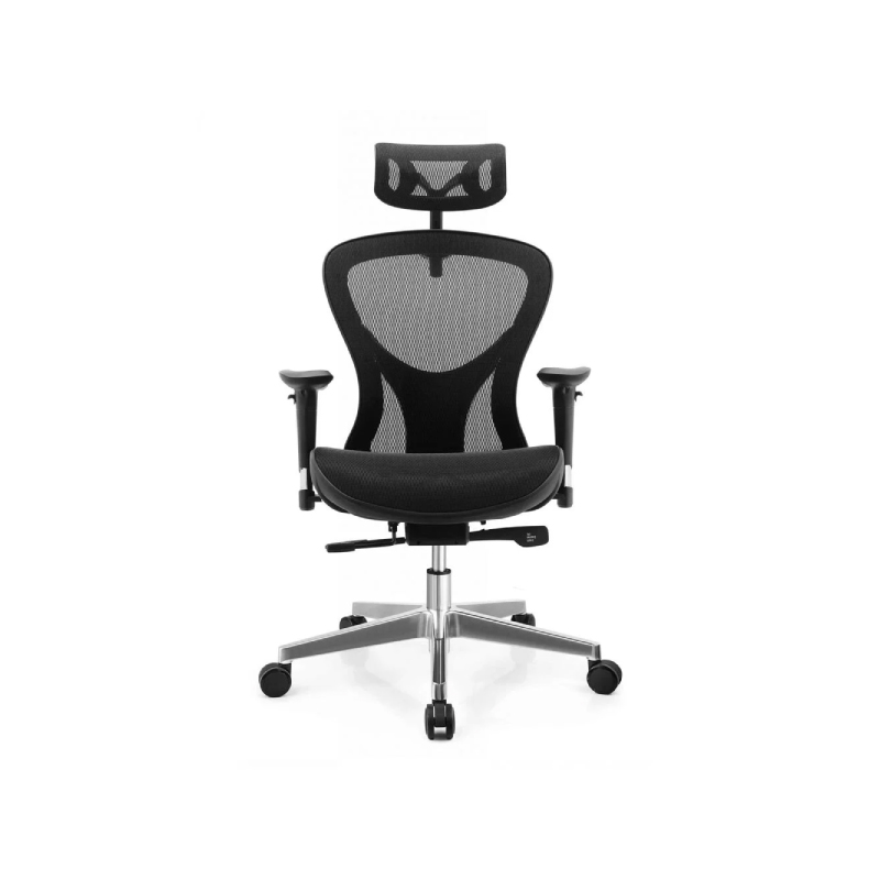 Modena เก้าอี้นั่งสบาย ไม่ปวดหลัง เก้าอี้ WFH เพื่อสุขภาพ