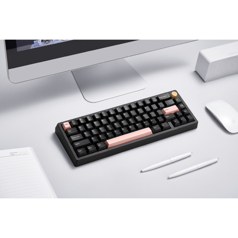Meletrix Zoom65 คีย์บอร์ด 65% ของดีที่สาย Custom รอคอย
