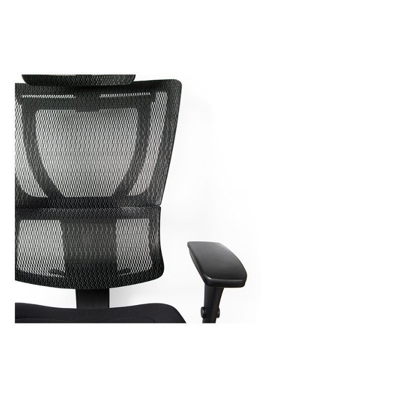 เก้าอี้สุขภาพ DF Prochair CL-H Smart Foam Seat Ergonomic Chair