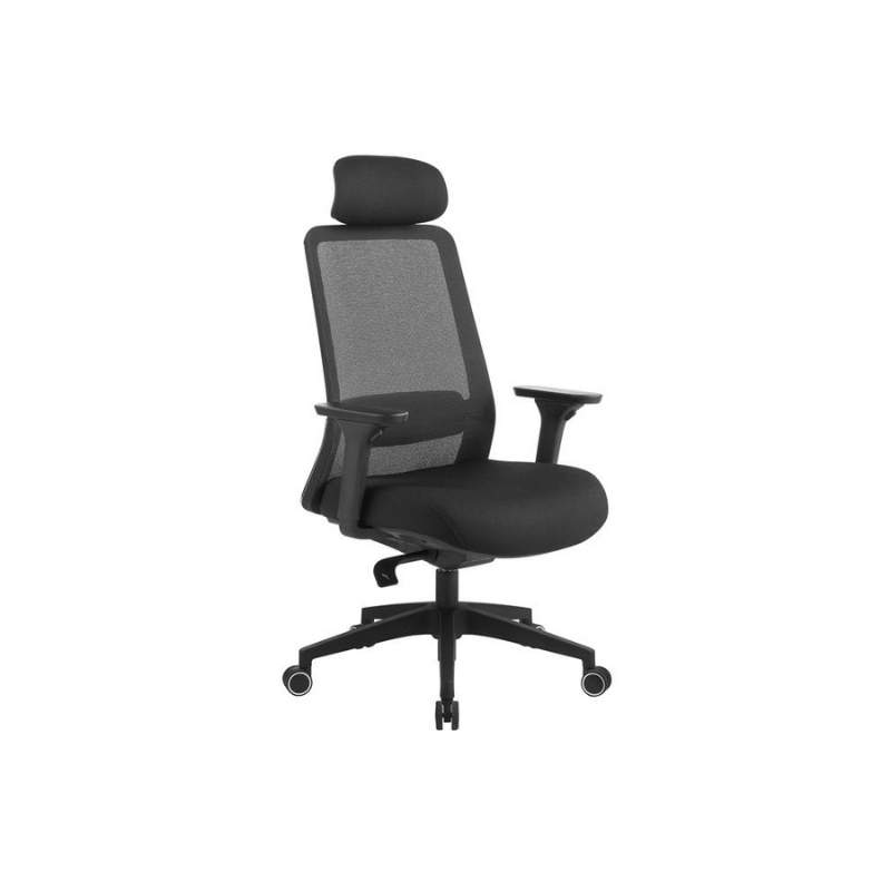 เก้าอี้สุขภาพ Ergotrend M-Bergen Ergonomic Chair