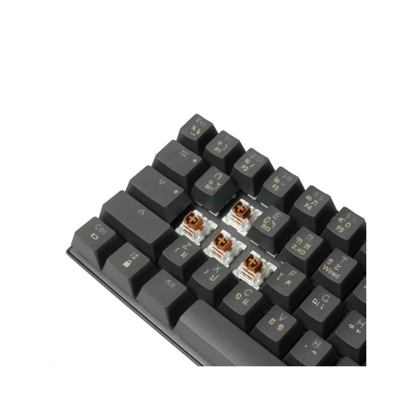 คีย์บอร์ด Tsunami MK-61 Pro คีย์บอร์ดเกมมิ่งไซส์มินิ Hotswap ได้