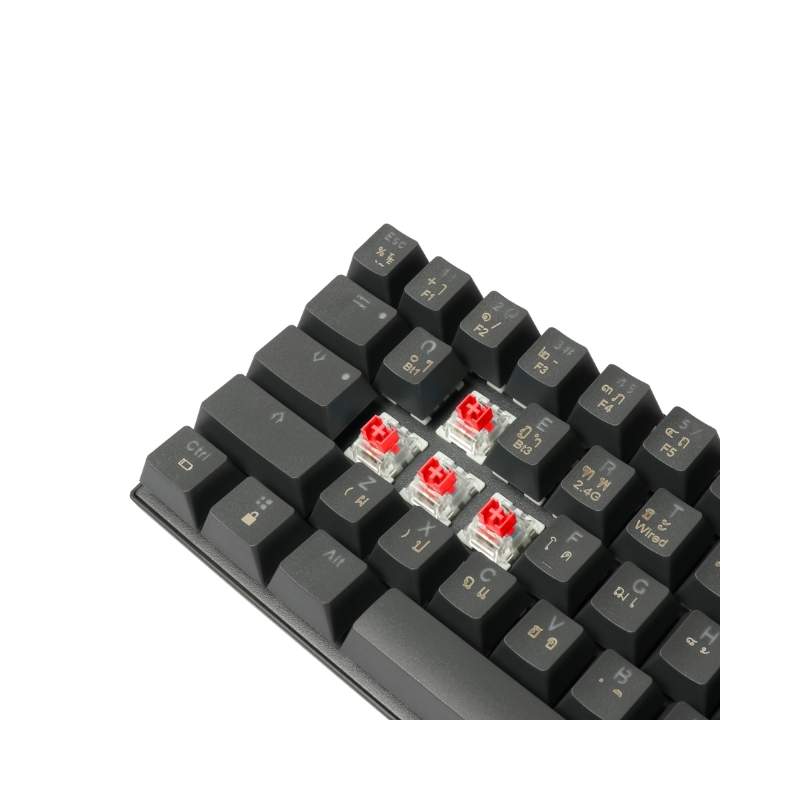 คีย์บอร์ด Tsunami MK-68 Max Wireless Mechanical Gaming Keyboard (EN/TH)