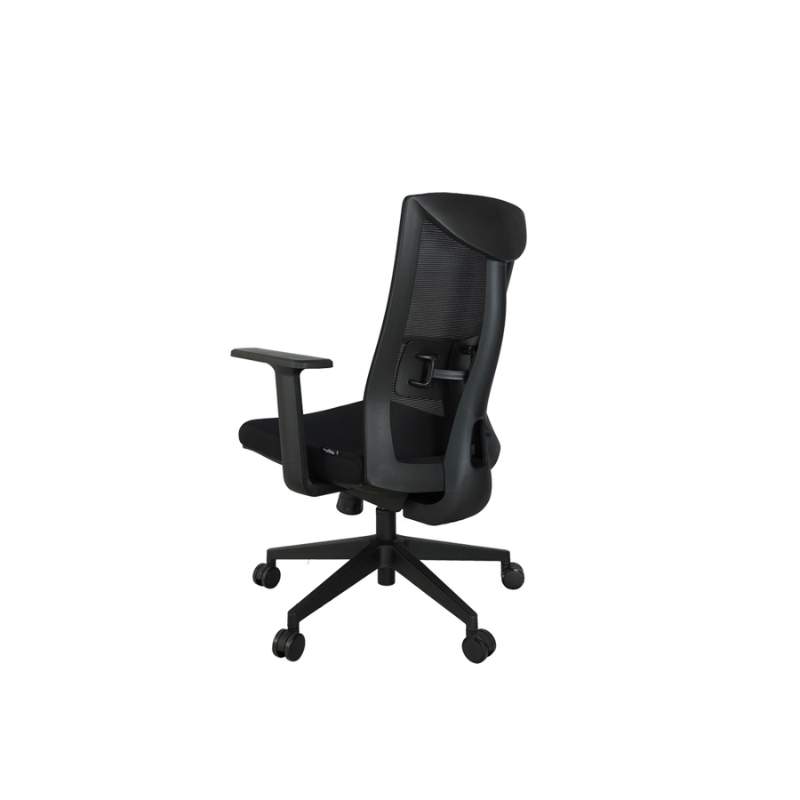 เก้าอี้สุขภาพ Ergoking CHUU Ergonomic Chair