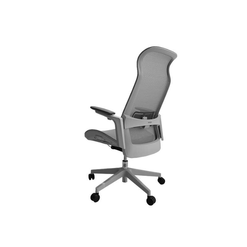 เก้าอี้สุขภาพ Ergoking CURVE Ergonomic Chair