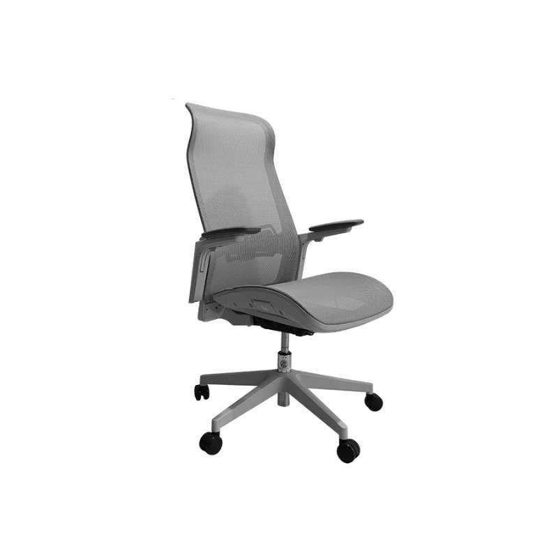เก้าอี้สุขภาพ Ergoking CURVE Ergonomic Chair