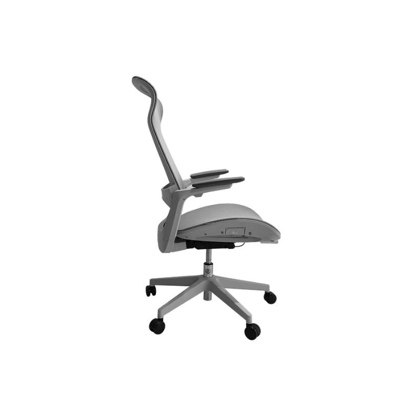 เก้าอี้สุขภาพ Ergoking CURVE Ergonomic Chair