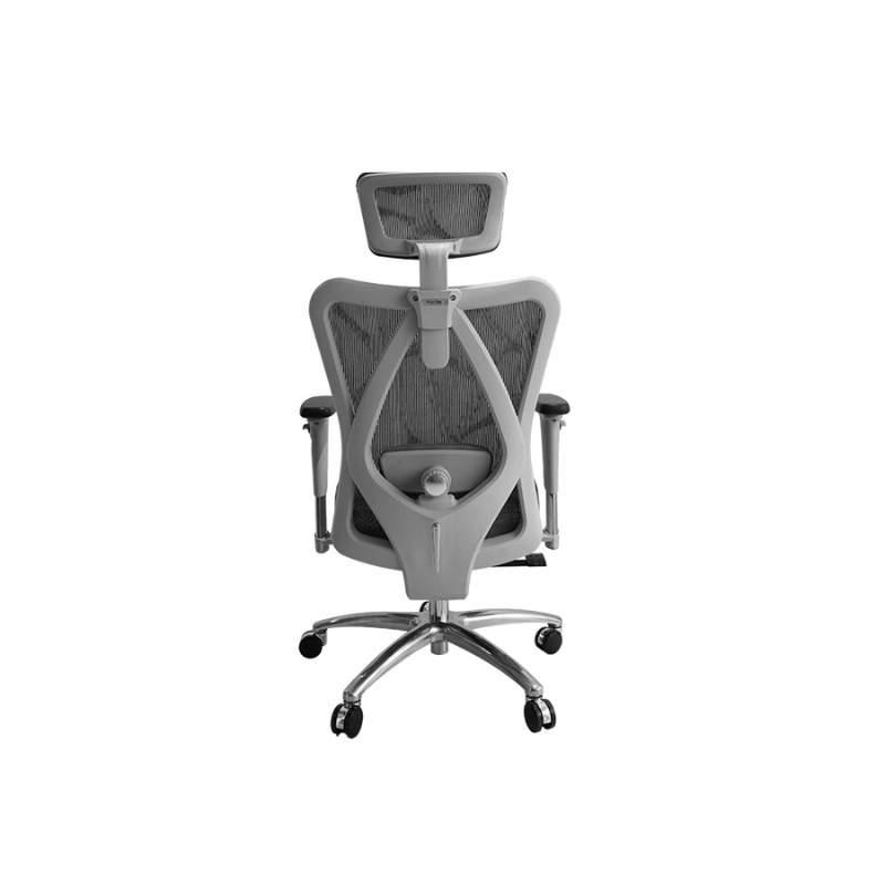 เก้าอี้สุขภาพ Ergoking MAIL Ergonomic Chair