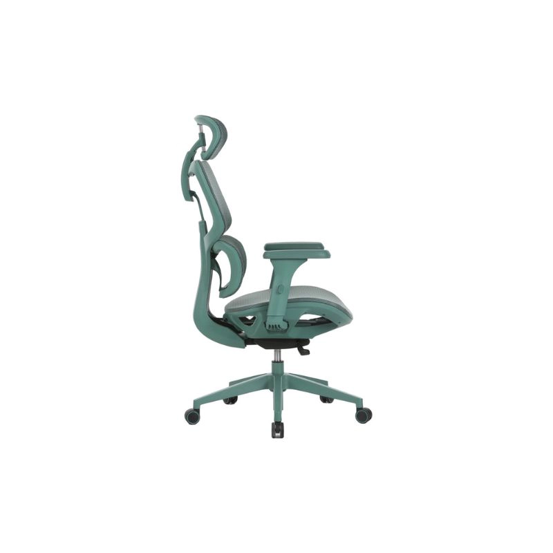 เก้าอี้สุขภาพ Modena Cusco Ergonomic Chair