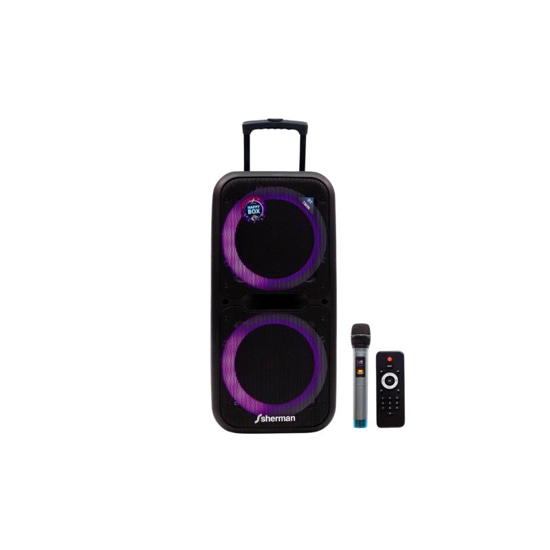 ลำโพง Aiwa SS-X200DSP PRO Multi Function Speaker