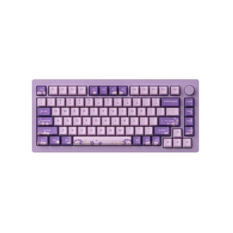 คีย์บอร์ด MonsGeek M1W Wireless Mechanical Keyboard (EN)