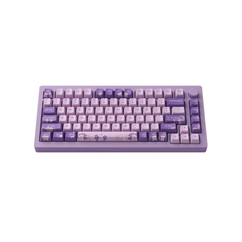 คีย์บอร์ด MonsGeek M1W Wireless Mechanical Keyboard (EN)