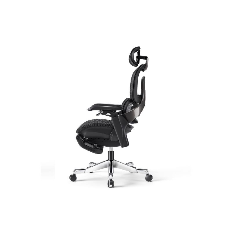 เก้าอี้สุขภาพ Ergotrend Ultimate Spacio Ergonomic Chair