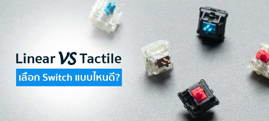 คีย์บอร์ด Linear Switch vs Tactile Switch เลือกแบบไหนดี